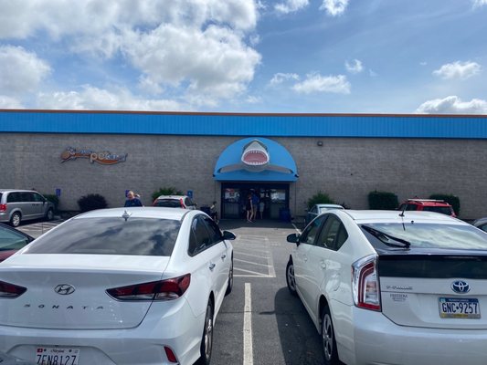 THAT FISH PLACE - THAT PET PLACE - Updated June 2025 - 149 Photos & 148 ...