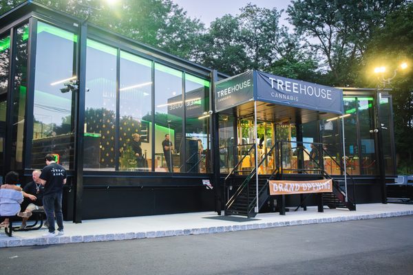 TREEHOUSE CANNABIS - Updated December 2025 - 17 Photos - 28 Ny-59 ...