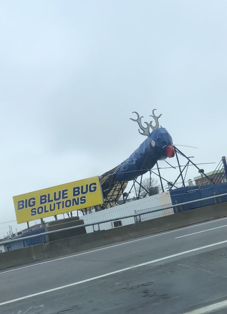 BIG BLUE BUG SOLUTIONS - Updated December 2024 - Westerly, Rhode Island ...