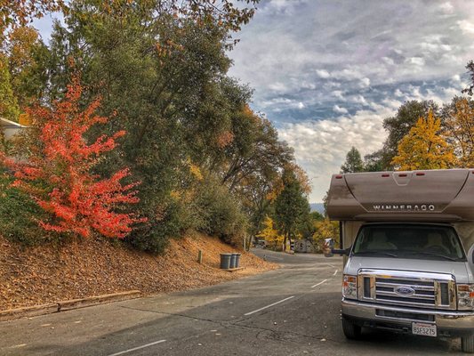 HIGH SIERRA RV & MOBILE PARK - 50 Photos & 67 Reviews - 40389 Hwy 41 ...