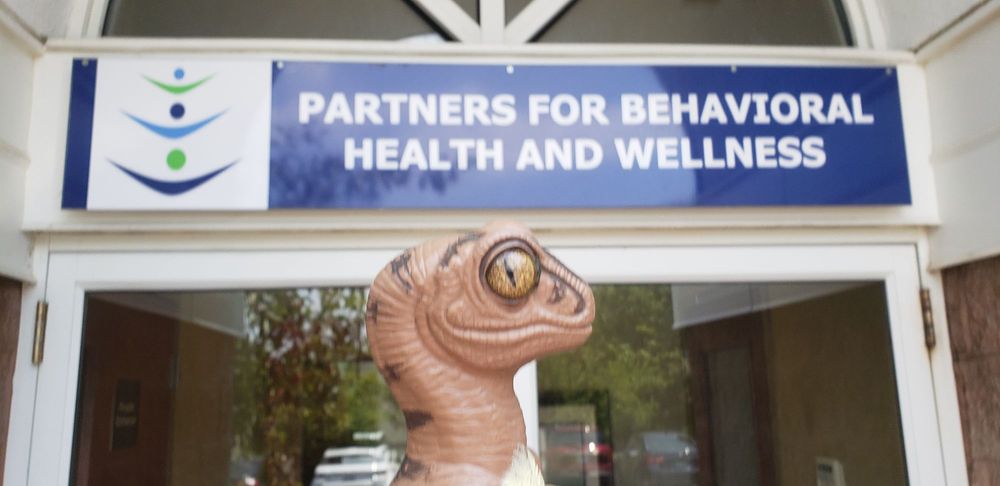 PARTNERS FOR BEHAVIORAL HEALTH AND WELLNESS - Updated December 2025 ...
