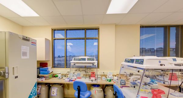 CCRM FERTILITY - LONE TREE - Updated December 2025 - 29 Photos & 129 ...