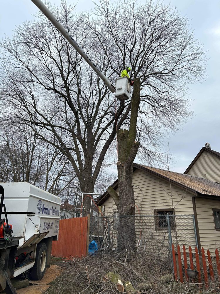 WOODMAN’S TREE SERVICE - Marshall, Michigan - Tree Services - Phone ...