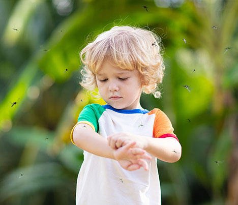 MARATHON PEST CONTROL - Updated July 2025 - Request a Quote - 13 Photos ...