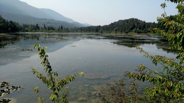 CHEAM LAKE WETLANDS REGIONAL PARK - Updated December 2025 - 53480 Elgey ...