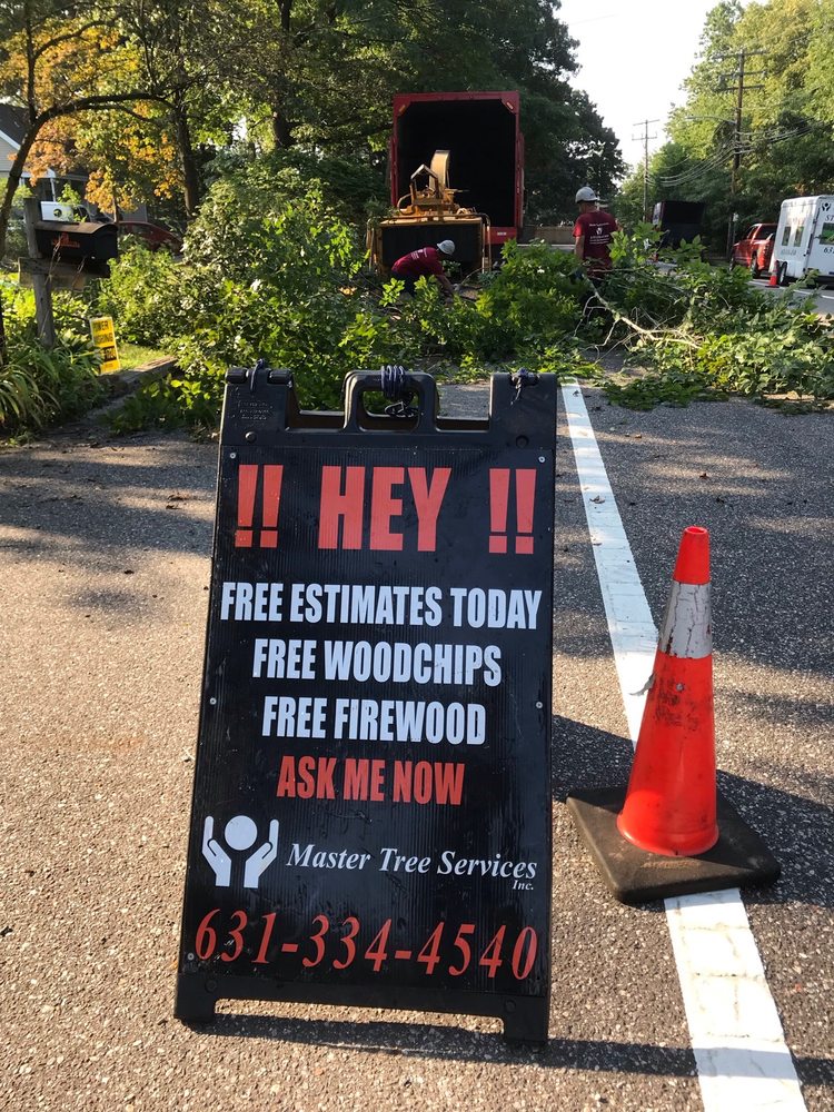 MASTER TREE SERVICES - Updated April 2025 - 74 Photos & 34 Reviews ...