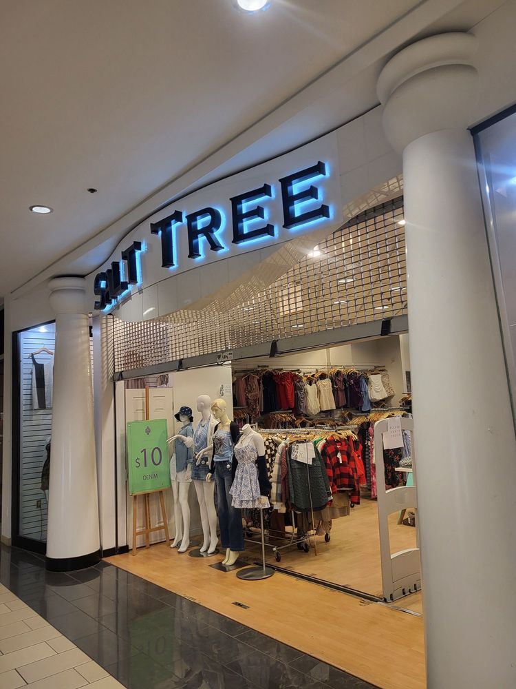 SALT TREE - Updated July 2025 - 277 B St, Santa Rosa, California ...