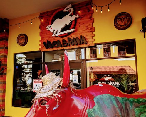 VACA BRAVA - Updated November 2024 - 304 Photos & 243 Reviews - Calle ...