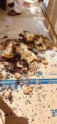 PACIFIC COAST TERMITE - Updated December 2025 - 34 Photos & 275 Reviews ...