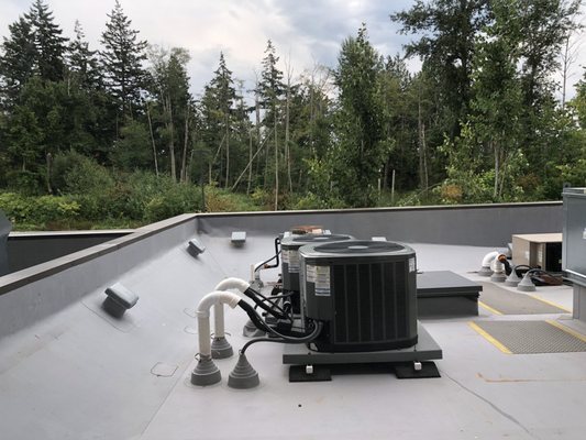 HOLIDAY INN & SUITES BELLINGHAM - Updated June 2025 - 69 Photos & 57 ...