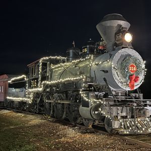 TEXAS STATE RAILROAD PALESTINE DEPOT - 206 Photos & 85 Reviews - 789 ...