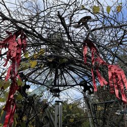 CATHEDRAL OF JUNK - 599 Photos & 222 Reviews - 4422 Lareina Dr, Austin ...