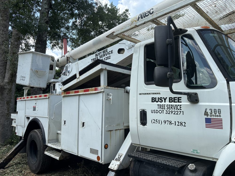 BUSY BEE TREE SERVICE - Updated October 2025 - 19 Photos - Loxley ...