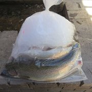 JESS RANCH LAKES - RECREATIONAL FISHING - 30 Photos & 34 Reviews ...