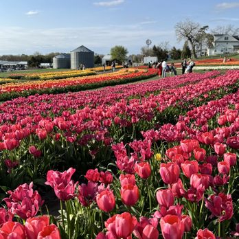 NELSON PRODUCE FARM - Updated January 2026 - 169 Photos & 27 Reviews ...