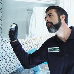 TRUFORCE PEST CONTROL - 15 Photos & 10 Reviews - 11200 Broadway ...