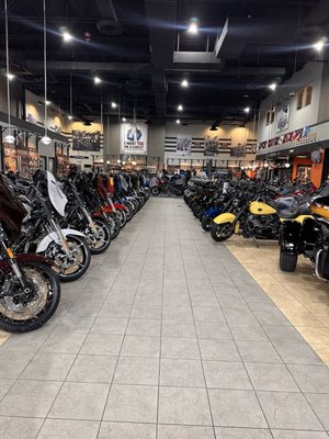 OLD GLORY HARLEY-DAVIDSON - Updated May 2026 - 147 Photos & 157 Reviews ...