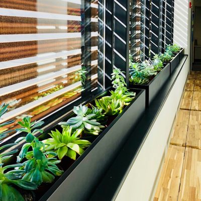 RADEN WELLNESS - Updated January 2026 - 21 Reviews - 200 Green Bay Rd ...