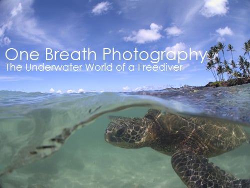 ONE BREATH PHOTOGRAPHY - Request a Quote - Honolulu, HI - Yelp