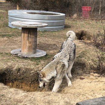 HOWLING WOODS FARM - Updated January 2025 - 253 Photos & 72 Reviews ...