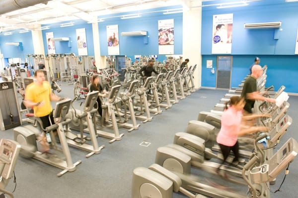 WILLESDEN SPORTS CENTRE - Updated October 2025 - 16 Reviews ...