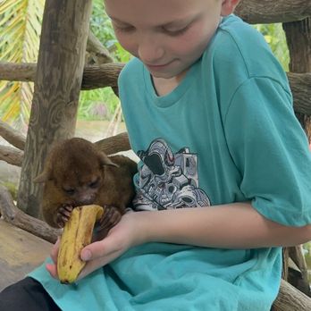 ZOOLOGICAL WILDLIFE FOUNDATION - Updated July 2024 - 883 Photos & 241 ...