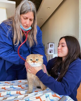 BETTER VET - Updated December 2025 - 12 Photos - Baltimore, Maryland ...