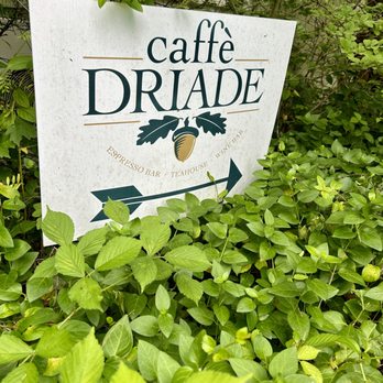 CAFFE DRIADE - Updated November 2024 - 309 Photos & 429 Reviews - 1215 ...