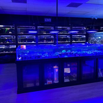 NEMO & FRIENDS AQUARIUMS - Updated July 2024 - 20 Photos - 6110 Hwy 6 N ...