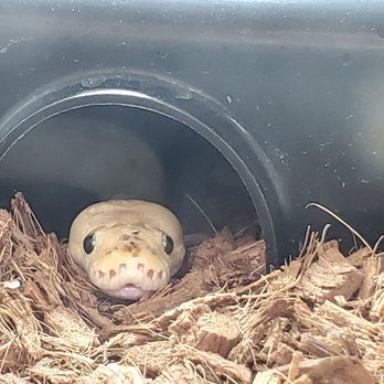 EAST BAY VIVARIUM - Updated August 2024 - 594 Photos & 580 Reviews ...