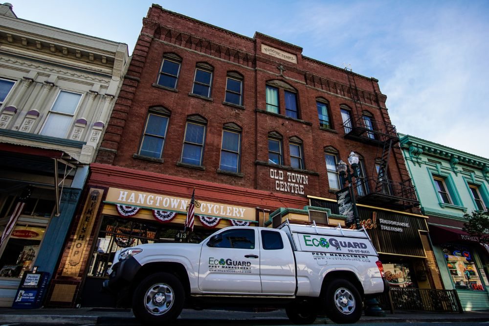 ECOGUARD - Updated October 2025 - 105 Photos - 920 Reviews - 808 ...