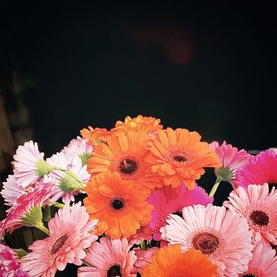 ANGIE’S FLOWERS - Updated July 2025 - 218 Photos & 79 Reviews - 3435 ...