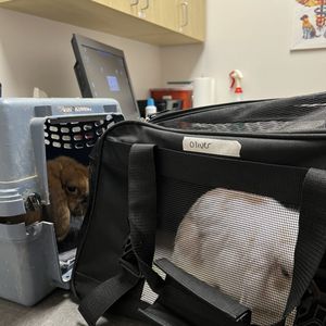 ACADEMY WEST ANIMAL HOSPITAL - Updated February 2025 - 20 Photos & 74 ...