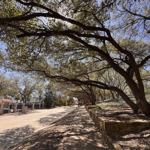 SAMUELL FARM - Updated April 2025 - 31 Photos - 100 US Highway 80 E ...