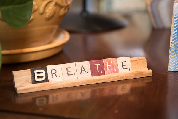 TOTAL HEALTH CONCEPTS - Updated January 2026 - 410 Pine St, Vienna ...