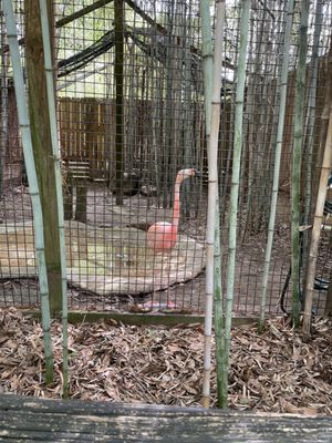 ZOOSIANA ZOO OF ACADIANA - Updated October 2025 - 78 Photos & 41 ...