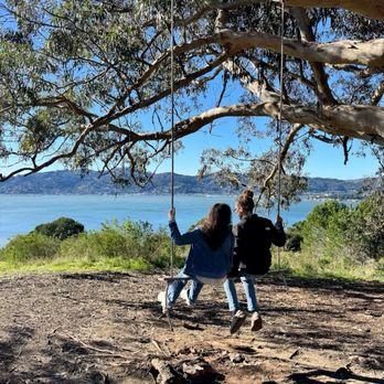 HIPPIE TREE - Updated December 2025 - 309 Photos & 102 Reviews - 100 ...