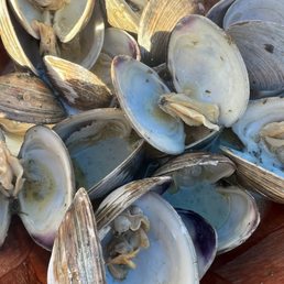 HALF SHELL RAW BAR - Updated December 2025 - 1424 Photos & 1071 Reviews ...