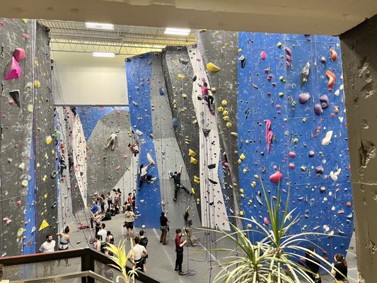 MOVEMENT CRYSTAL CITY - Updated May 2025 - 75 Photos & 83 Reviews ...