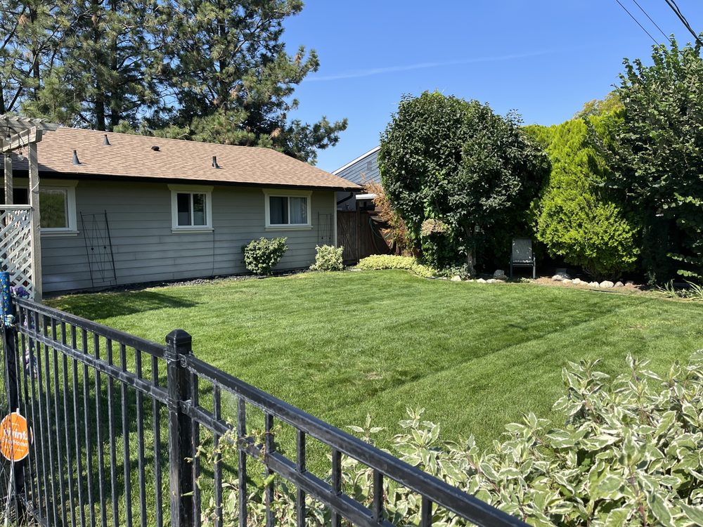 SAM YARD CARE - Updated August 2025 - Request a Quote - Kelowna ...