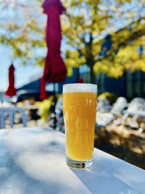 BIGALORA WOOD FIRED CUCINA - Updated December 2025 - 313 Photos & 219 ...