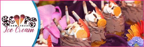 SCOOPS FARM FRESH ICE CREAM - Updated April 2025 - Wesley Chapel ...