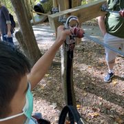 THE ADVENTURE PARK AT VIRGINIA AQUARIUM - 437 Photos & 151 Reviews ...