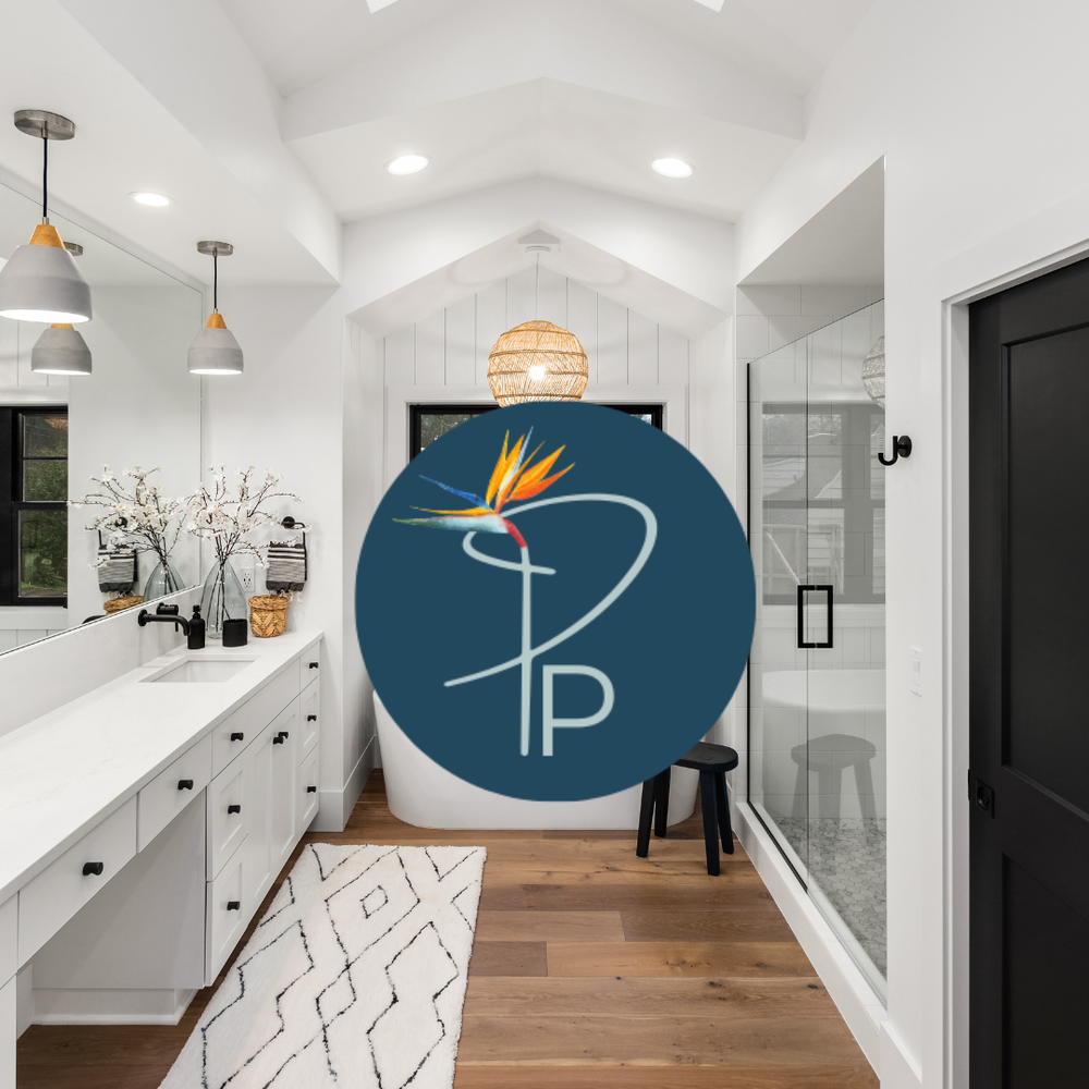 Same Day Service at Paradise Projexx - Updated April 2025 - Sarasota ...