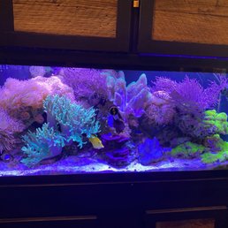 KELLY’S STEAK AND SEAFOOD - Updated December 2025 - 107 Photos & 172 ...