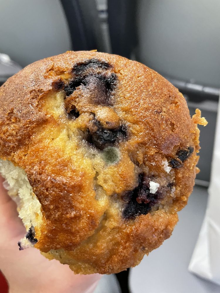 CAFE RITAZZA - Updated August 2025 - 1200 Red Cleveland Blvd, Sanford ...