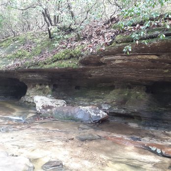 CHEROKEE BLUFFS PARK - Updated January 2026 - 100 Photos - 5867 ...