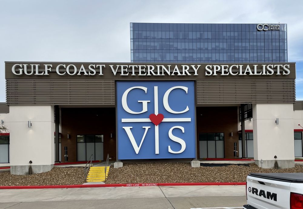 GULF COAST VETERINARY SPECIALISTS - Updated October 2025 - 150 Photos & 584 Reviews - 8042 Katy ...
