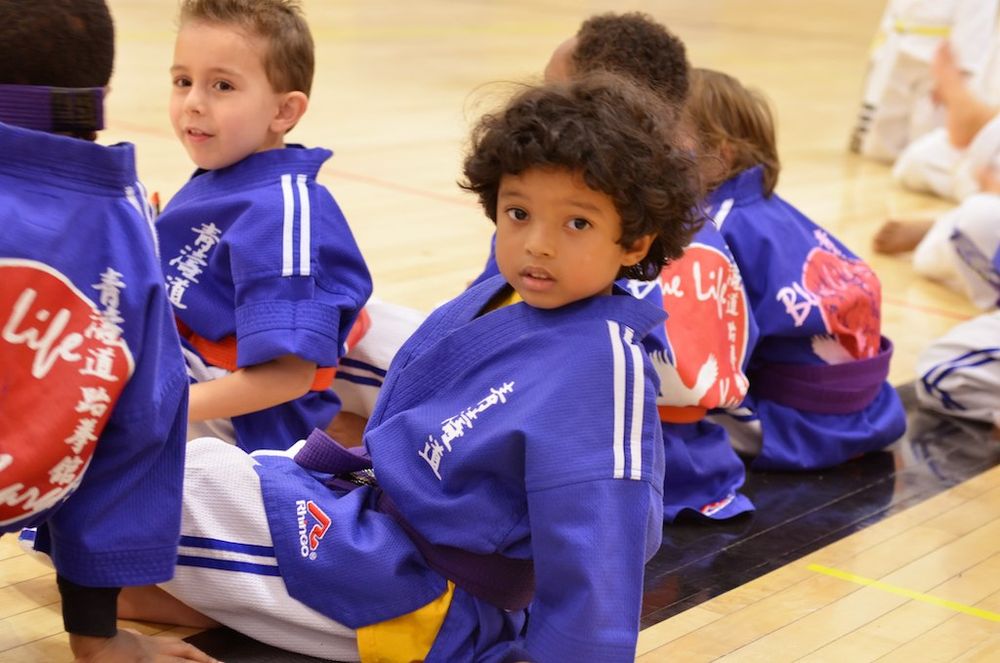 BLUE LIFE KARATE & KICKBOXING CENTERS - Updated July 2025 - 33 Photos ...