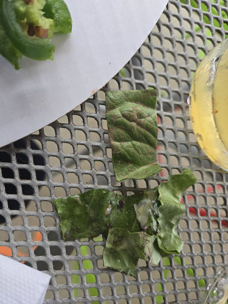 URBAN BRICKS FOOD TRUCK - Updated October 2025 - 90 NE Interstate 410 ...